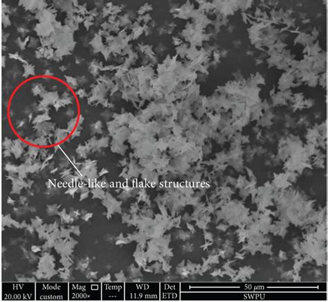 Sem Micrographs Of Baso4 Precipitates A In The Absence Of Inhibitor