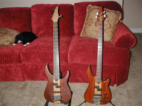 When Did You Get A Customboutique Bass