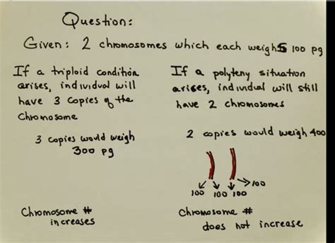 Gene Regulation Control Of Gene Expression Flashcards Quizlet