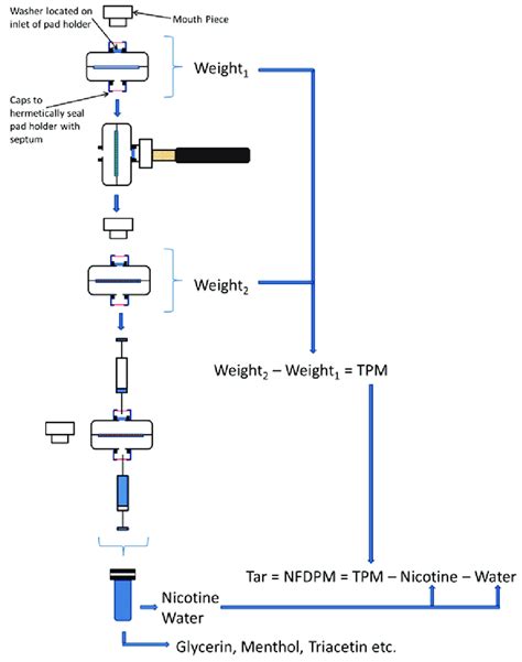 Schematic Of In Situ Experimental Procedure Download Scientific Diagram