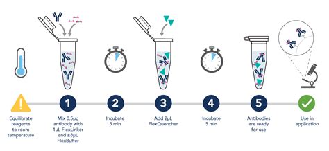 Standard Workflow Proteintech Group
