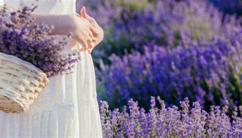 On Femininity And Personality The Feminine Project