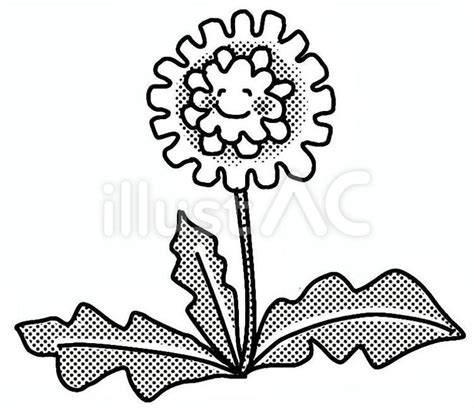 たんぽぽ白黒イラスト No 2080340無料イラストフリー素材ならイラストAC
