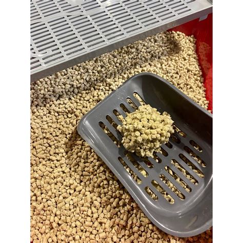 🥇559 р Комкующийся соевый наполнитель для кошачьего туалета Goliaf Premium ТОФУ Оригинал