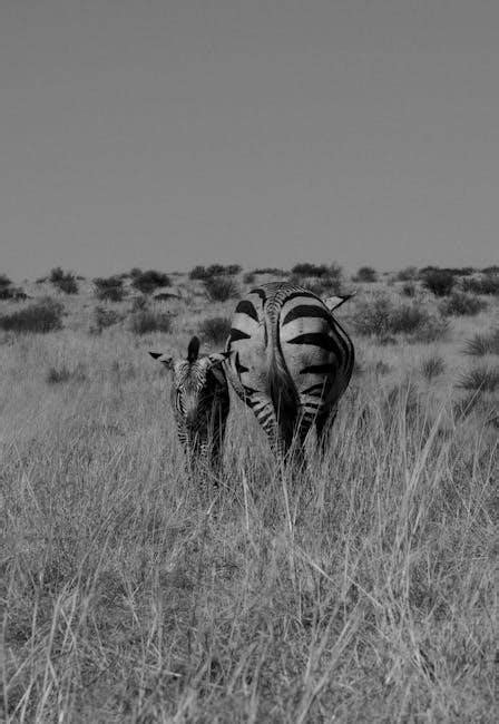 Zebra Zd620 Manual Download Pdf Guide And Instructions