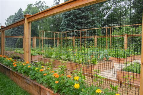 Garden Update Fall 2022 Artofit