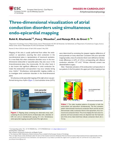 Pdf Three Dimensional Visualization Of Atrial Conduction Disorders Using Simultaneous Endo