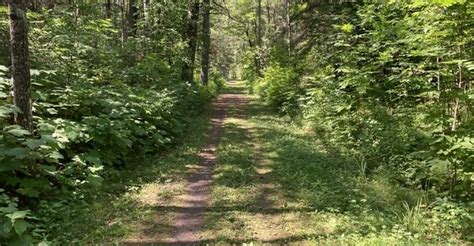 Forbay Trail Outdoor Project