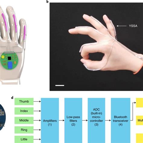 Sign To Speech Translation Using Machine Learning Assisted Stretchable Sensor Arrays Request Pdf