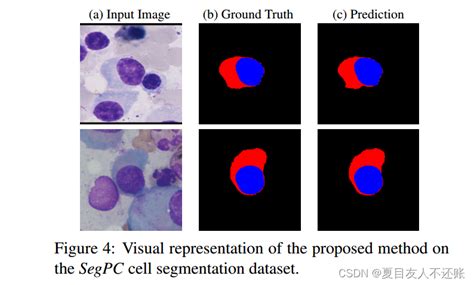Hiformer Hierarchical Multi Scale Representations Using Transformers