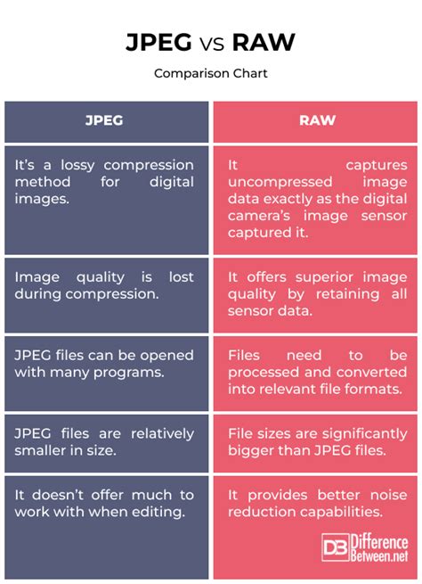 Difference Between JPEG And RAW Difference Between JPEG Vs RAW