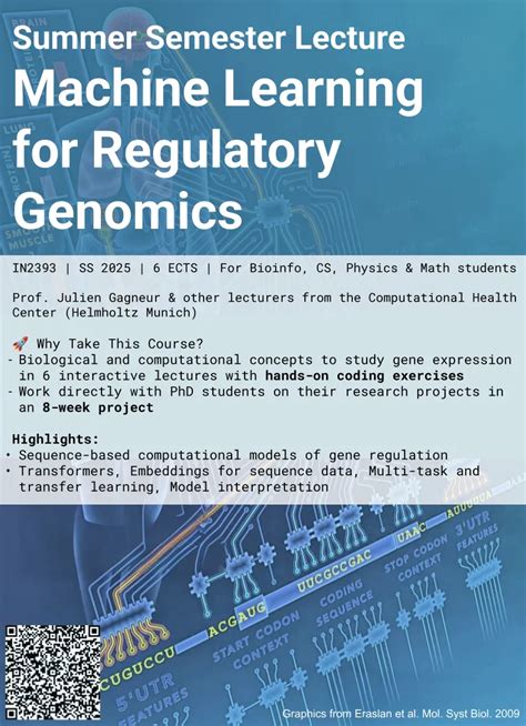 Machine Learning For Regulatory Genomics Chair Of Computational Molecular Medicine