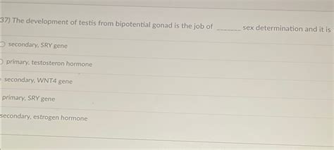 Solved The Development Of Testis From Bipotential Gonad Is