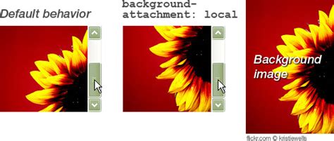 Css Background Image Position Attachment And Repeat Property Css 背 景のアタッチメント Penelope0on2