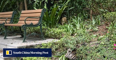 Mosquito Menace Why Hong Kong Needs To Step Up The Fight Against Dengue Fever South China