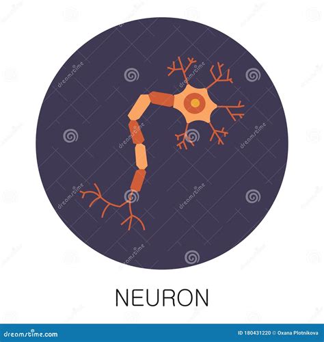 Neuron Icon In Flat Style Isolated On White Background Human Anatomy