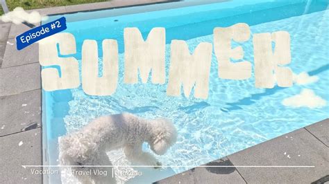 강아지 여행 Vlog 가평 춘천 찍고 홍천 바캉스 Ep2 애견숙소 반려견 숙소 수영장 애견동반 여행 스테이감동 브이로그 일상 자쿠지