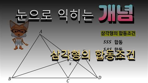 눈으로 익히는 개념 삼각형의 합동조건 Youtube