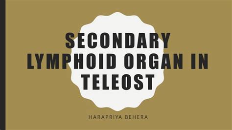 Secondary Lymphoid Organ In Teleost Pptx