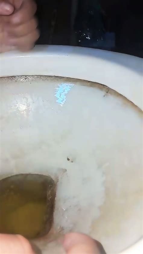 Belen Tried To Clean Toilet Piss Drinking Dirty Toilet Cleaning Eporner