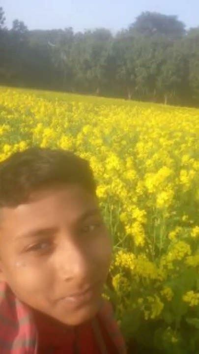 26 December 2024 Youtube