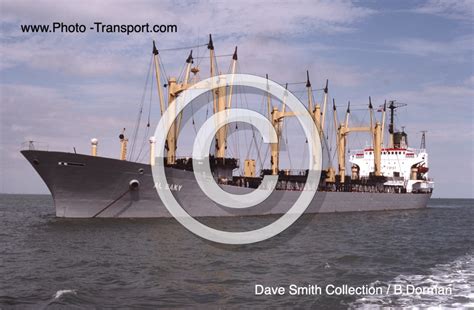 Al Baky Gen Cargo Photo Transport