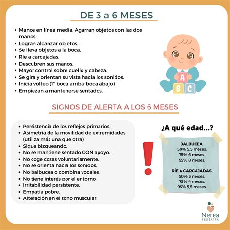 Desarrollo Psicomotor Nerea Pediatra