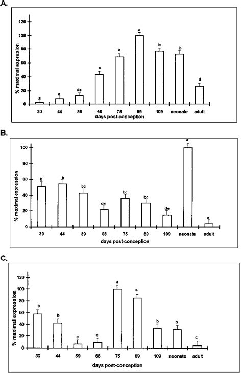 developmental expression of liver igfbp 2 a 4 b and 5 c mrna