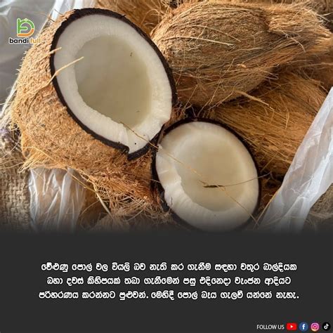 ඉවුම් පිහුම් With නිශා Added A ඉවුම් පිහුම් With නිශා