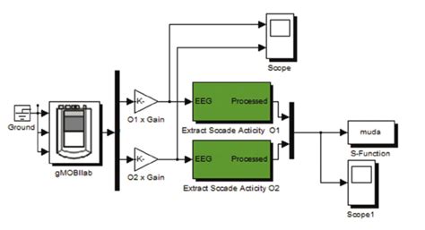 schematic of eeg signal acquisition and conditioning process