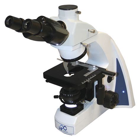 Microscope 1000x Magnification At Thomas Charlesworth Blog