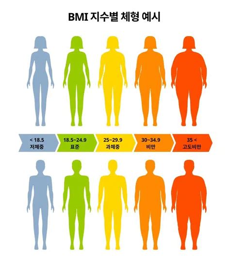 Bmi 계산기 가장 쉽게 체질량지수비만도를 확인하는 방법