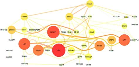 Co Expression Network For The 33 Selected Genes From Genemania The Download Scientific Diagram