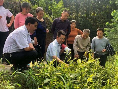 这4种农药都能同时防治作物上的细菌病害和真菌病害你用过吗 农化科普 北京傲禾测土配方施肥官方网站 测土施肥网 测土配肥加盟 北京傲禾测土