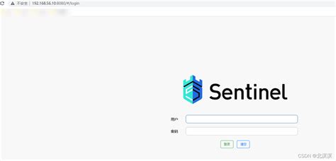 （二）docker镜像制作案例——实现sentinel Dashboard（1 8 2）最新版镜像制作及dockerhub发布 Sentinel 打镜像 Csdn博客