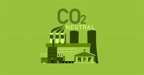 A Guide To Carbon Offsetting For Businesses Tsw Training