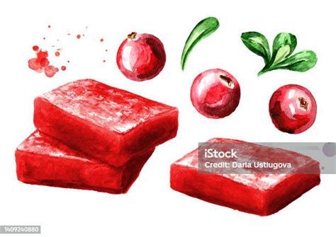 수제 크랜베리 과일 마멀레이드 잼 젤리 흰색 배경에 고립 된 손으로 그린 수채화 그림 건강한 식생활에 대한 스톡 벡터 아트 및 기타 이미지 건강한 식생활 과일 다양