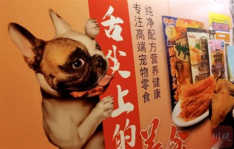 视频快带你的爱宠来中国宠业年度大会在蓉举行 四川在线