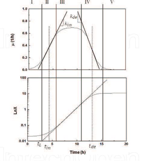 Figure 1 From Computer Simulation Of Bioprocess Semantic Scholar