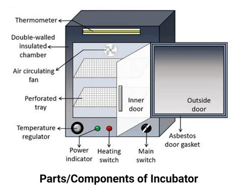 Lab Incubator Parts Working Types Uses Precautions