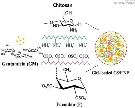 Table 1 From Recent Advances In Chitosan Based Nanoparticulate Pulmonary Drug Delivery