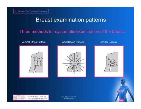 A Guide To The Clinical Gynecological Exam As Instructed By A Female
