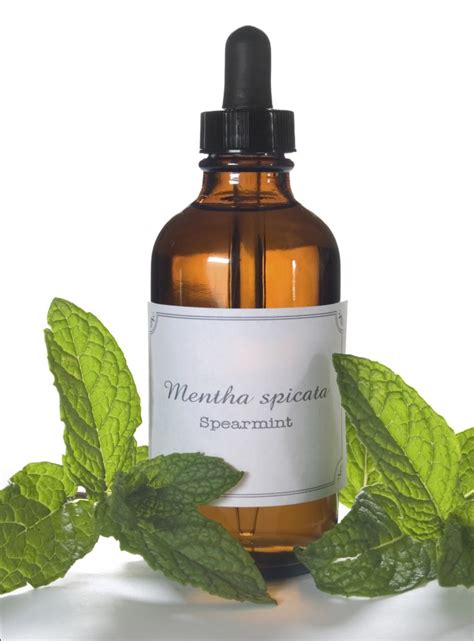 Spearmint Essential Oil Recipes