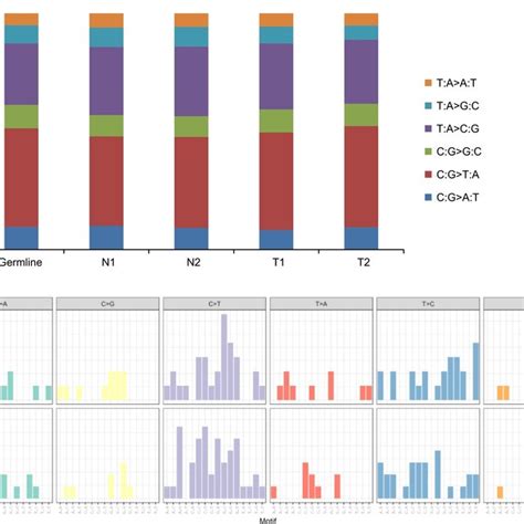 Somatic Mutation Pattern A In Each Sample And Mutation Signatures In