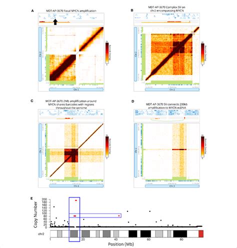 Detection Of Extrachromosomal Dna Using Linked Reads 10x Lr Data Download Scientific Diagram