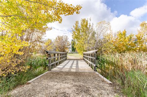 Silver Berry | Peter D. Schalin | Edmonton Real Estate