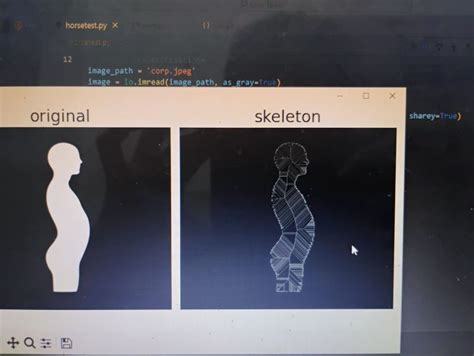 Higor Gabriel Rocha Do Carmo On Linkedin Python Pesquisaporimagens Pythondevelopment