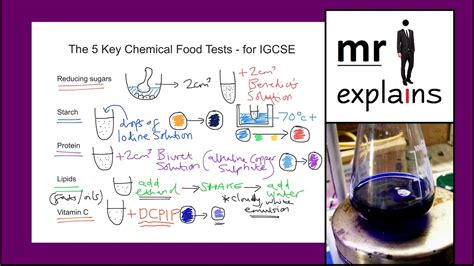 Protein Test Biology Igcse At Seth Darcy Irvine Blog Protein Test Biology Igcse At Seth Darcy Irvine Blog