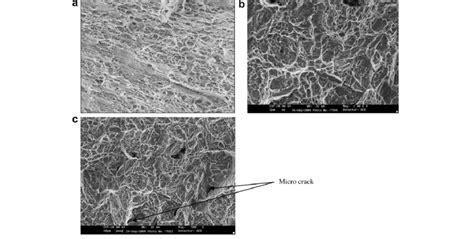 SEM Pictures Of The Fracture Surface After Projectile Penetration A Download Scientific