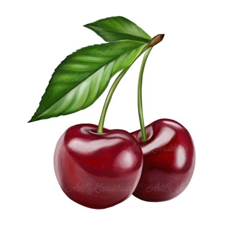 Kirsche Clip Art Kirsche Clipart Clipart Zum Kostenlosen Download Pwadc